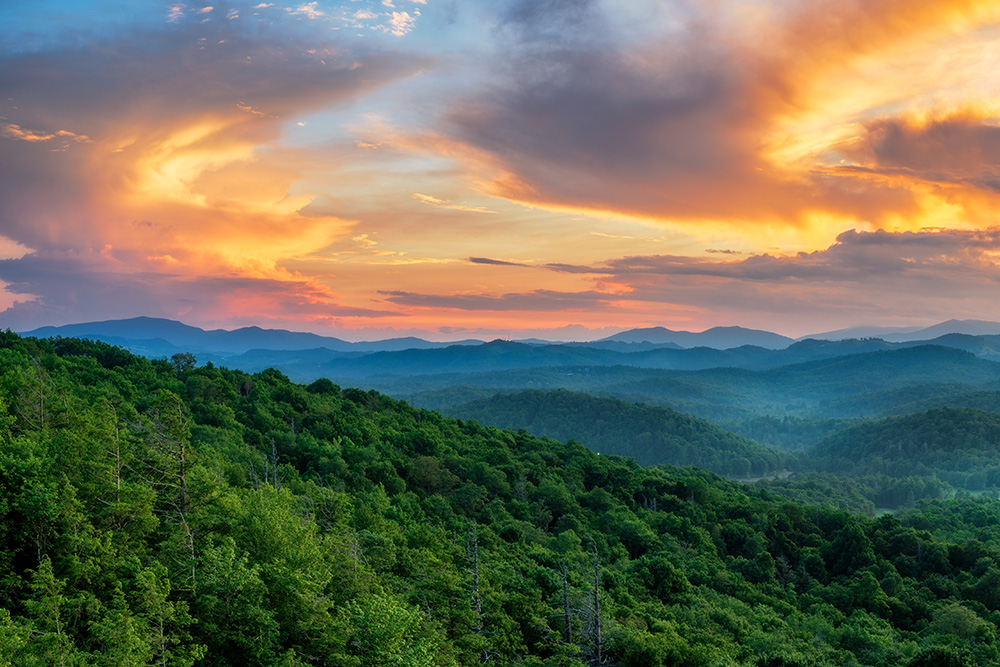 DuPont Community Credit Union